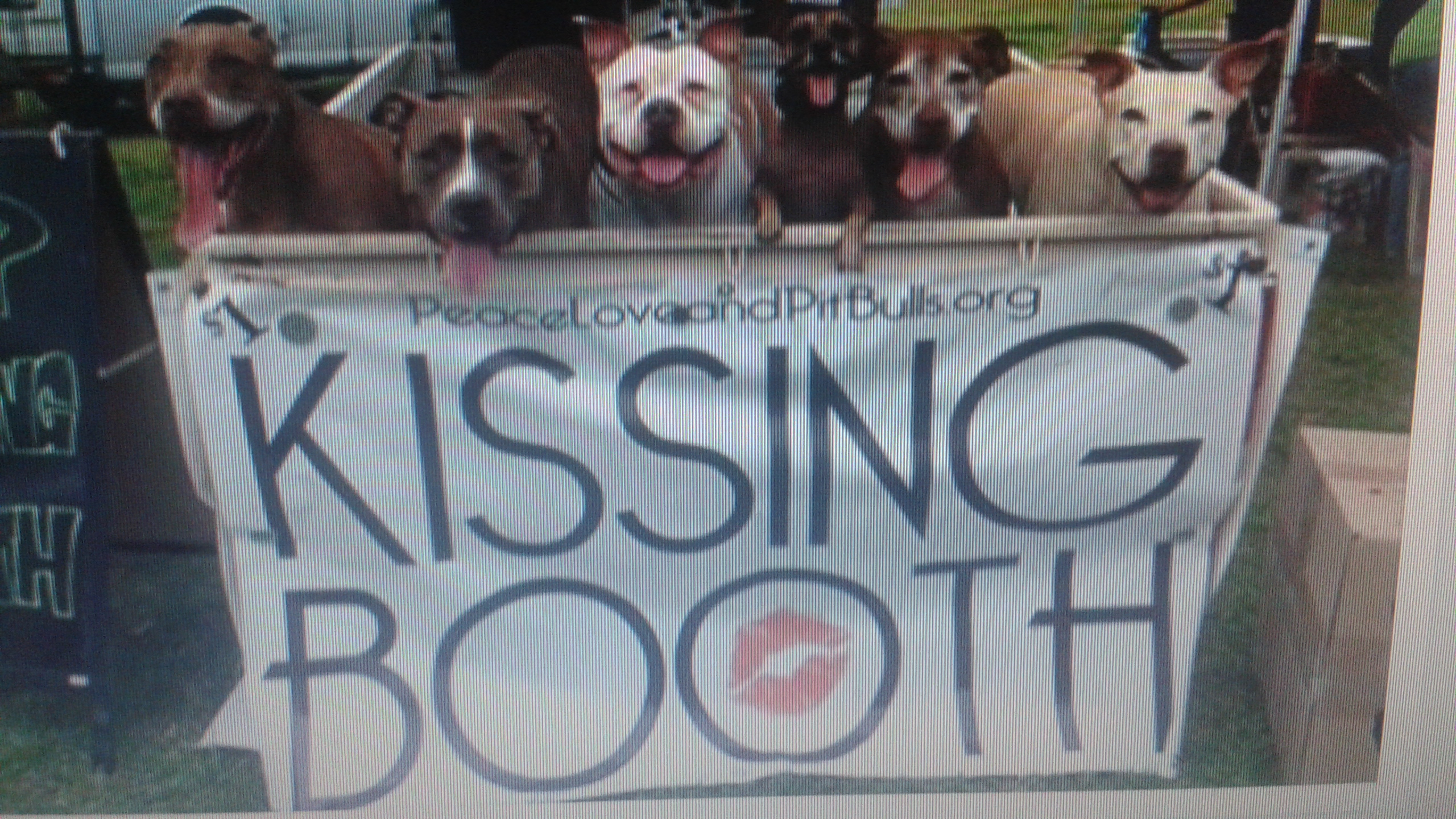 Special Membership Drive Pet Appreciation Show | KBOO