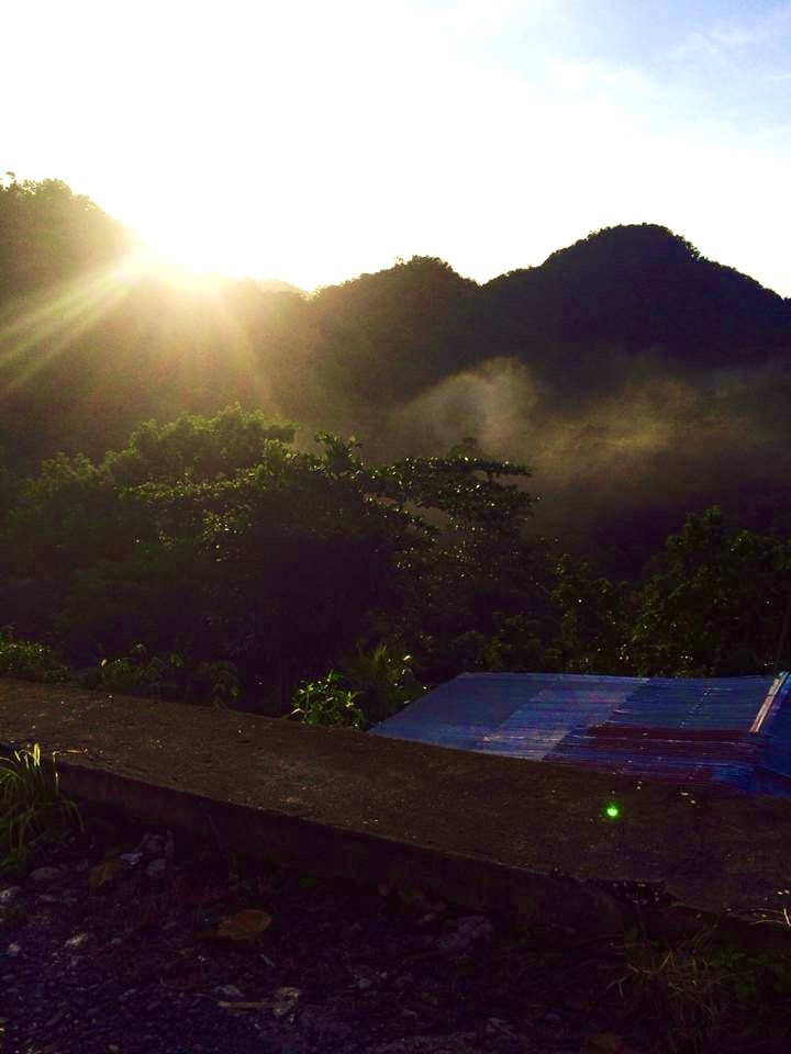 🔊Jungle Signal🔊 | KBOO