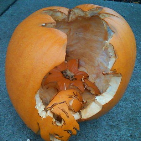 A Matter Of Public Records / Halloween Music | KBOO